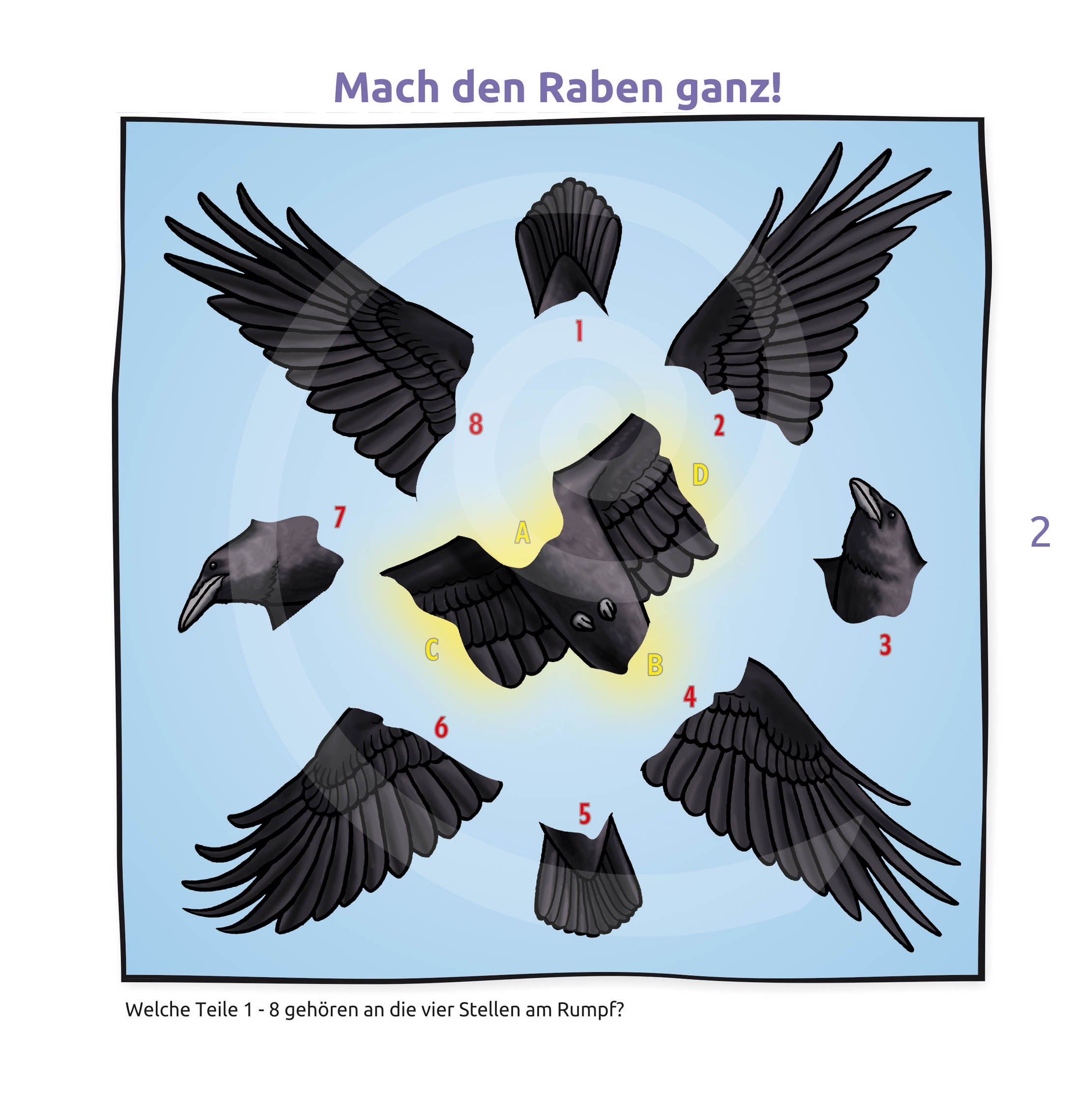 natur entdecken - Bunte Rätsel Rund um Raben